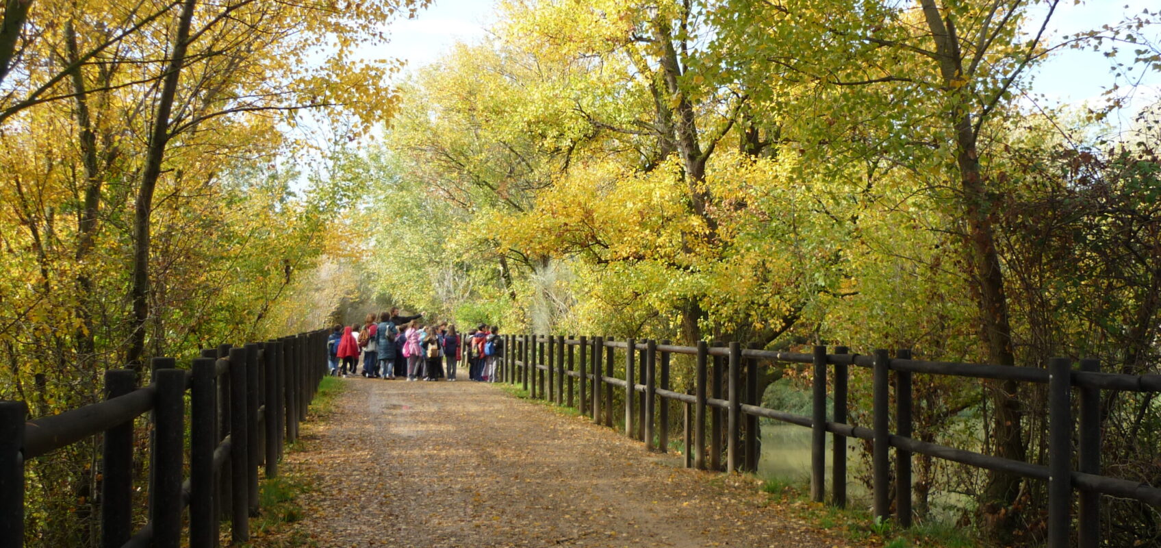 Estudio de la fauna malacológica del Galacho de Juslibol año 2000 - ANSAR