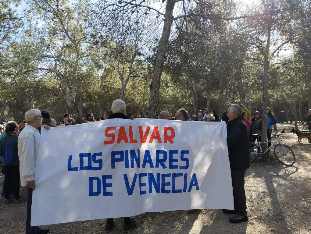 Salvemos los Pinares de Venecia - ANSAR